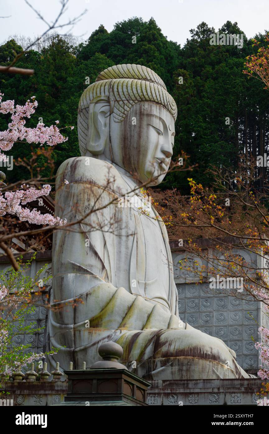 View of Tsubosaka-Dera, a temple with a giant Buddha statue in the ...