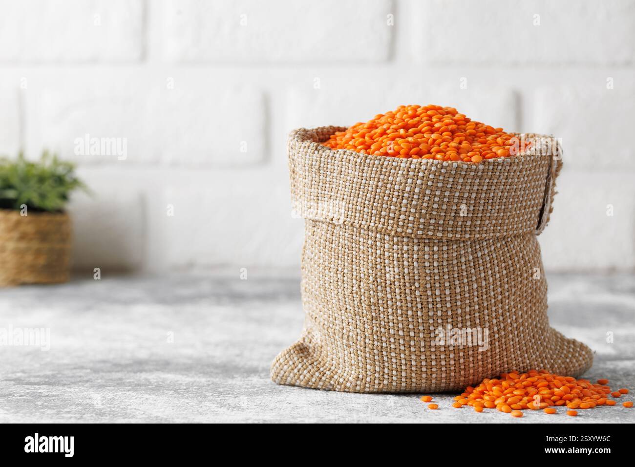 Small burlap sack overflowing with vibrant red lentils sits on a gray ...