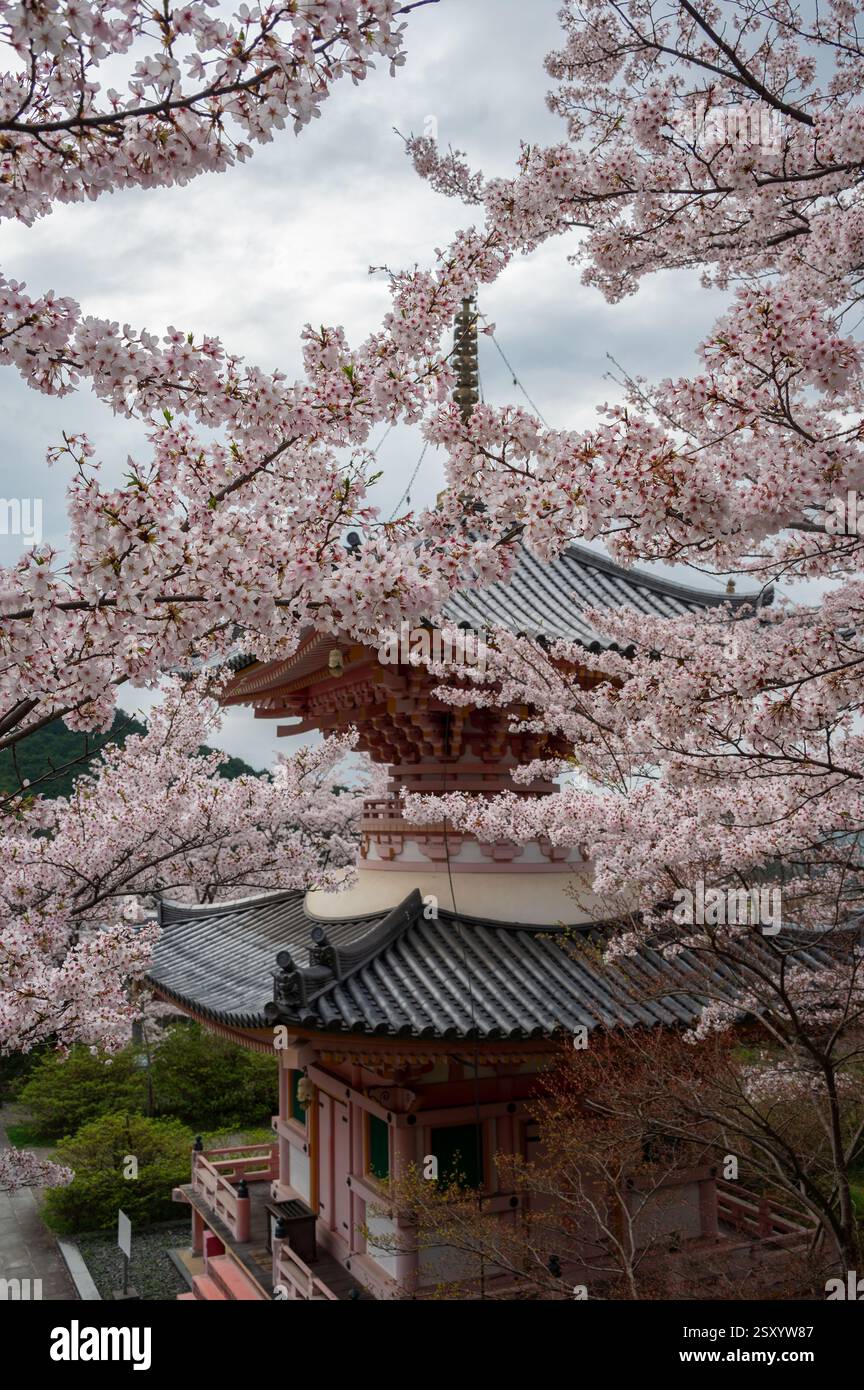 View of the temple complex of Tsubosaka- Dera, a temple with a giant ...