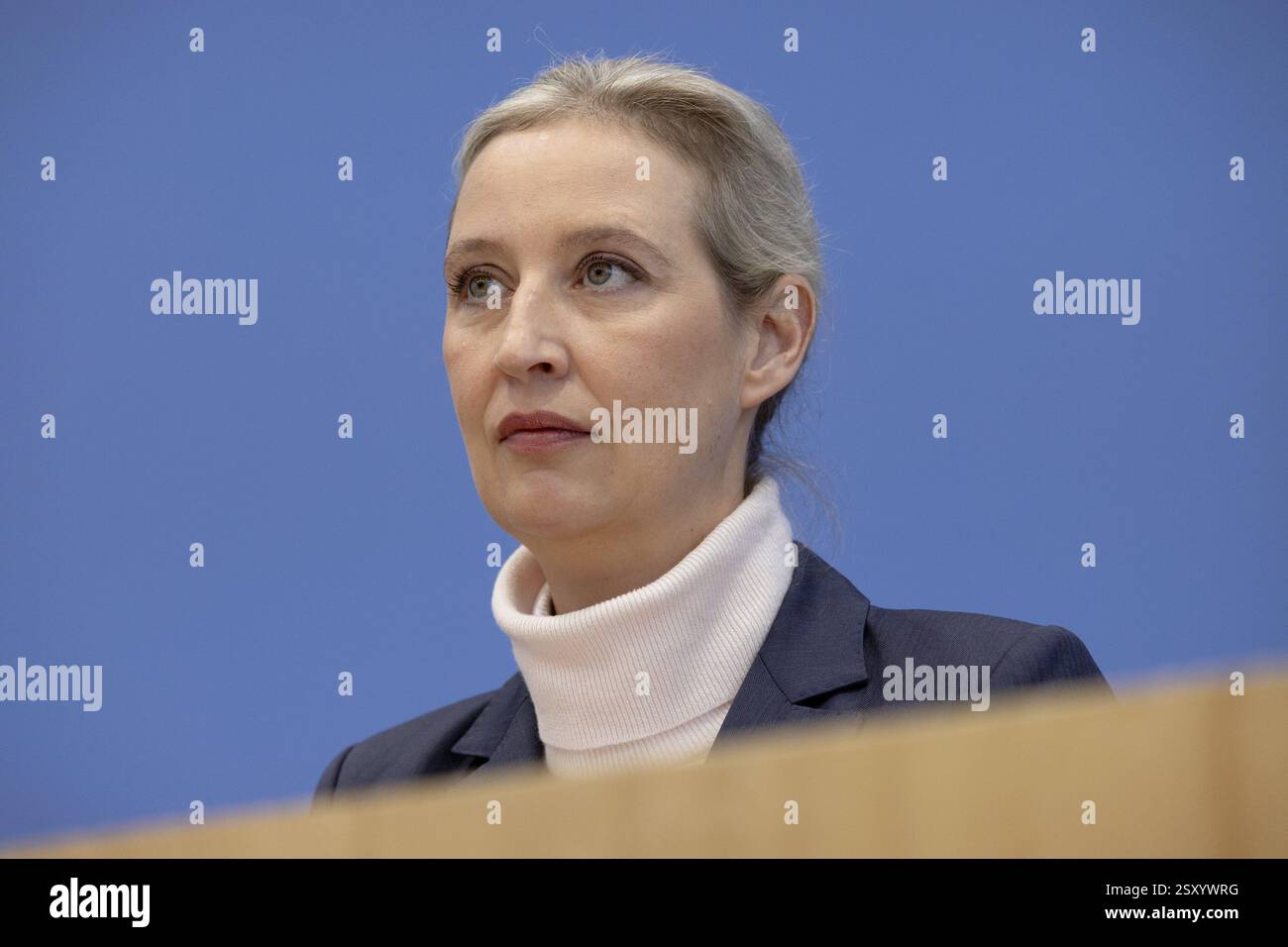 Alice weidel afd conference hi-res stock photography and images - Alamy