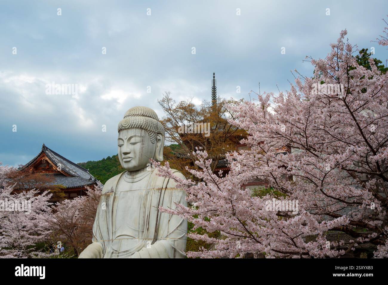 View of Tsubosaka- Dera , a temple with a giant Buddha statue in the ...