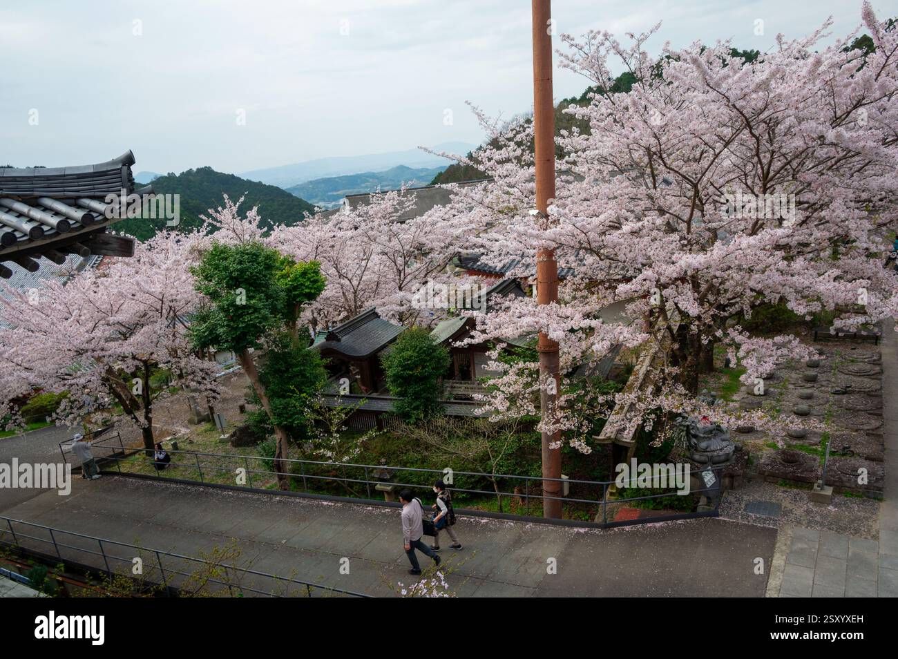View of the temple complex of Tsubosaka- Dera, a temple with a giant ...