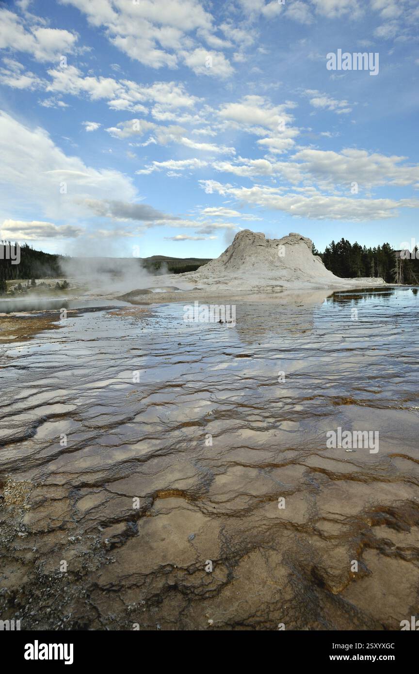 Castle geyser geyser basin in Yellowstone national park, Wyoming, USA ...