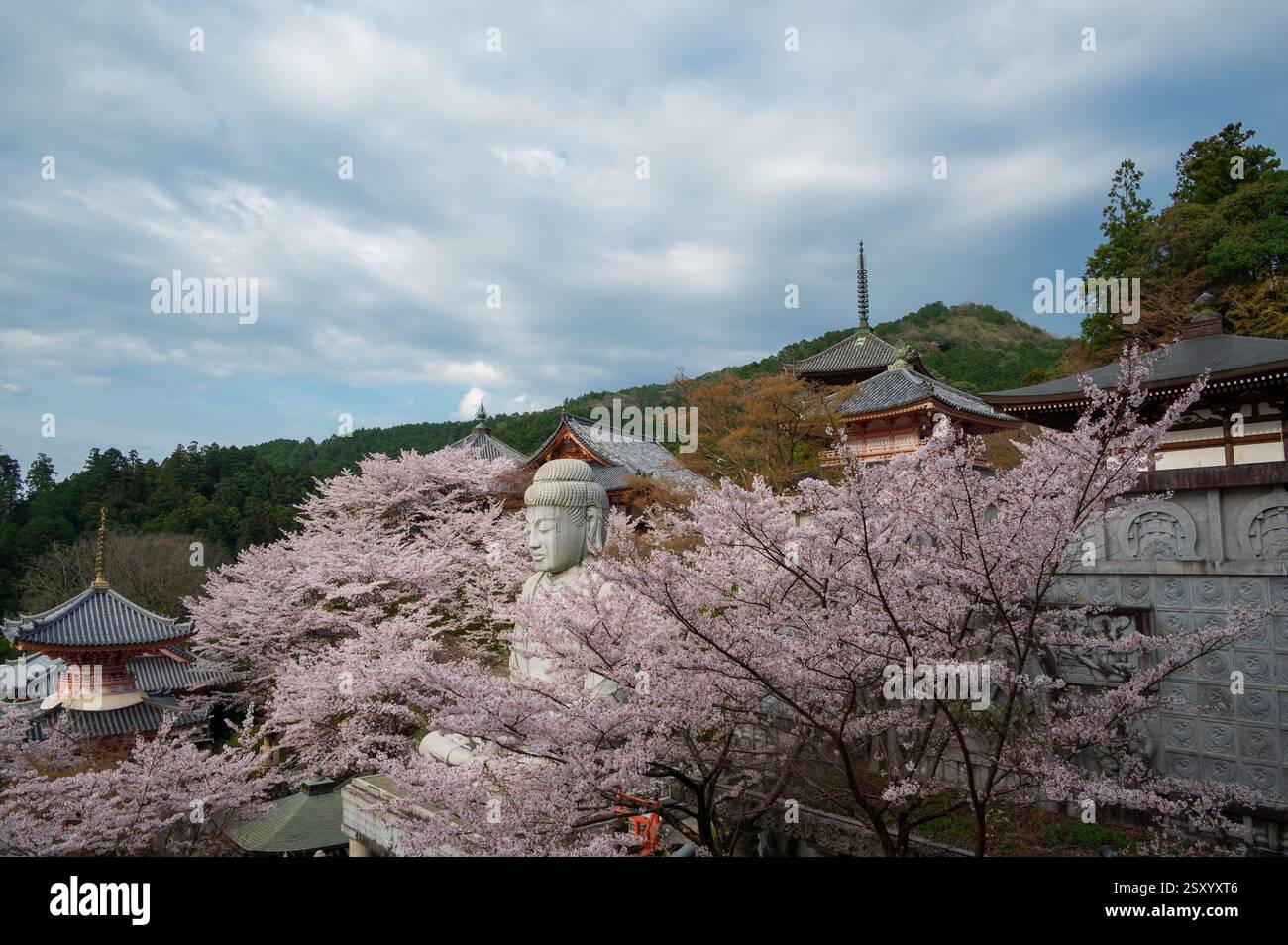 View of Tsubosaka-Dera, a temple with a giant Buddha statue in the ...