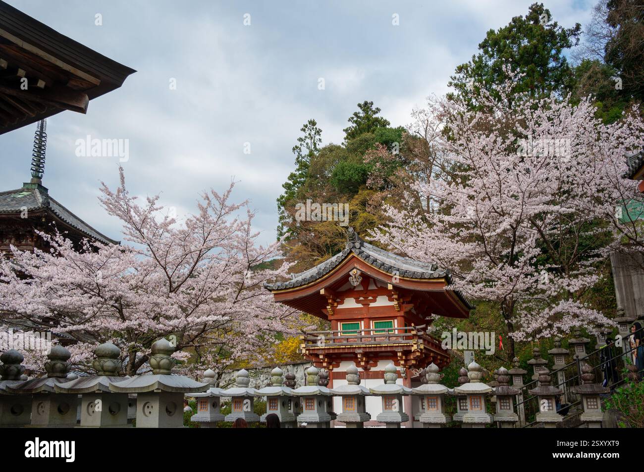 View of the temple complex of Tsubosaka- Dera, a temple with a giant ...