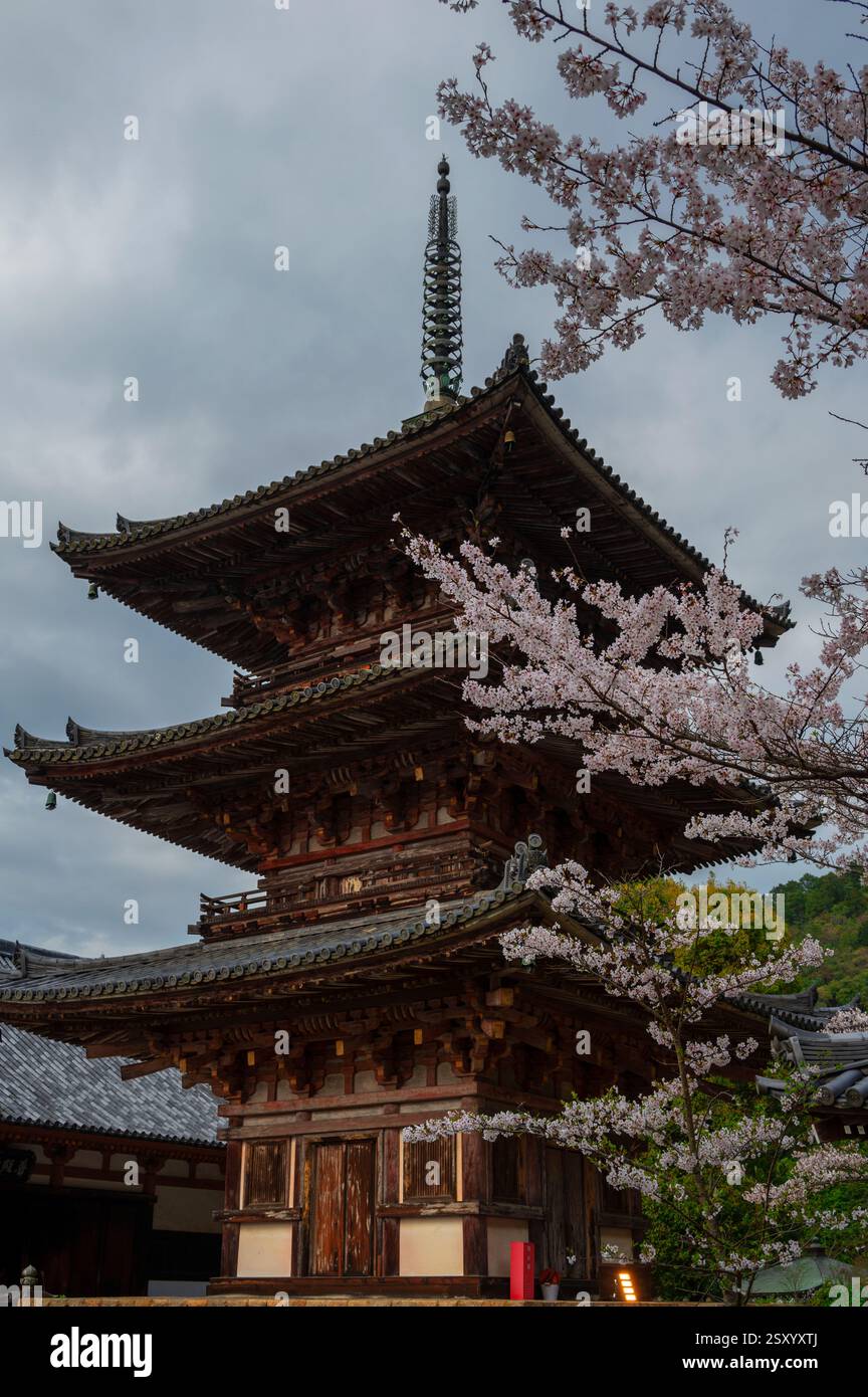 View of the temple complex of Tsubosaka- Dera, a temple with a giant ...