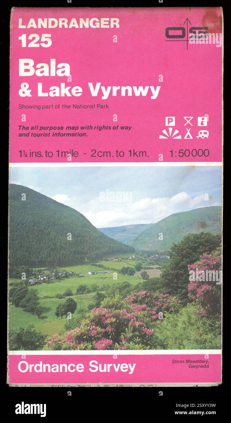 Vintage Ordnance Survey map Bala & Lake Vyrnwy, showing part of the ...