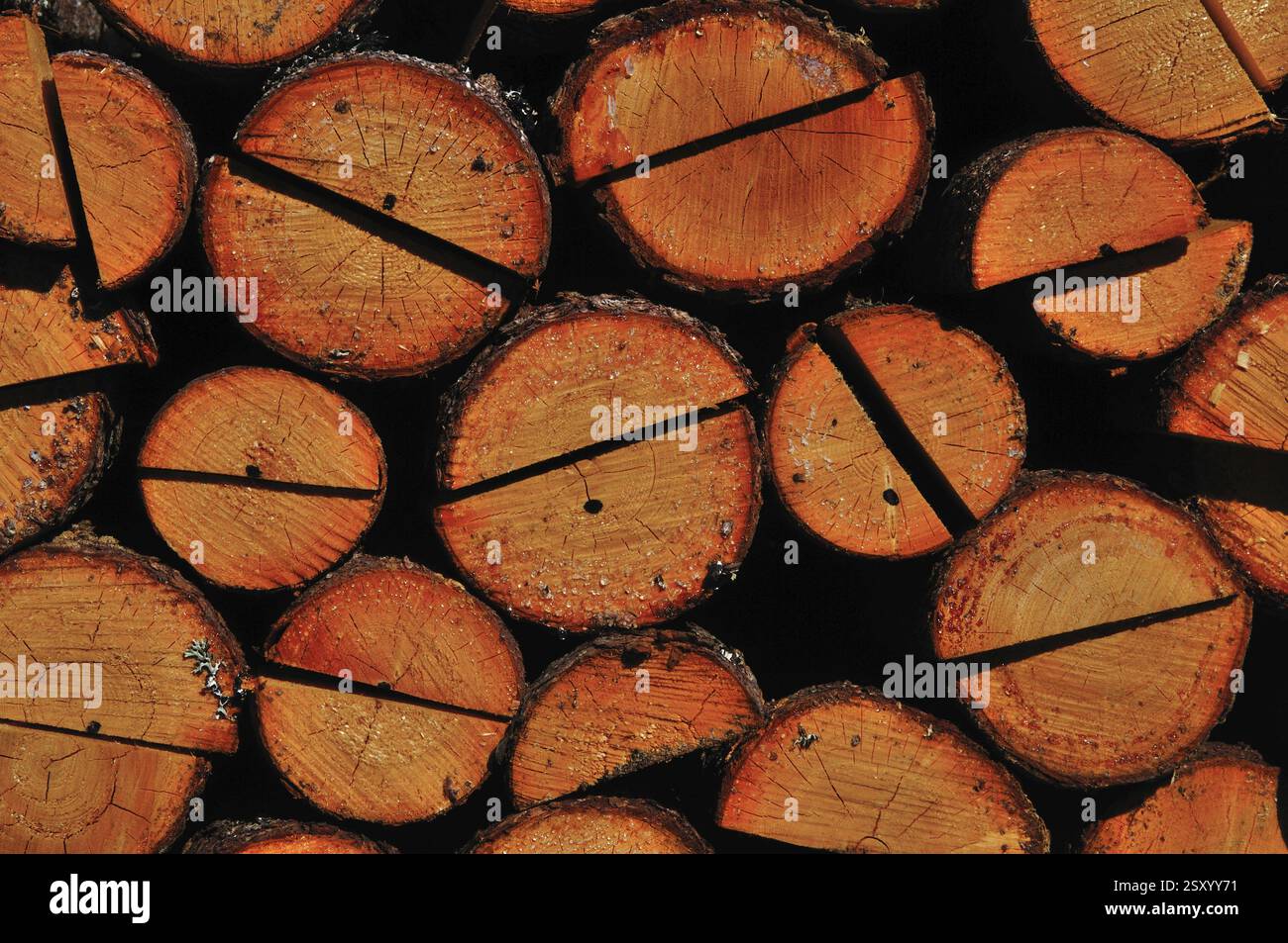 Wooden logs skansen Stockholm Sweden Stock Photo - Alamy