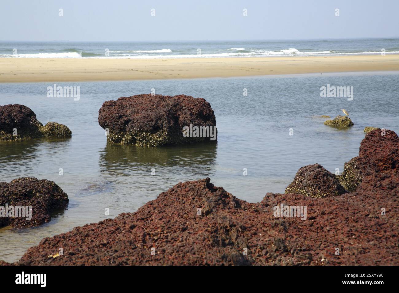 Bhogwe beach Vengurla sindhudurg Maharashtra India Asia Stock Photo - Alamy