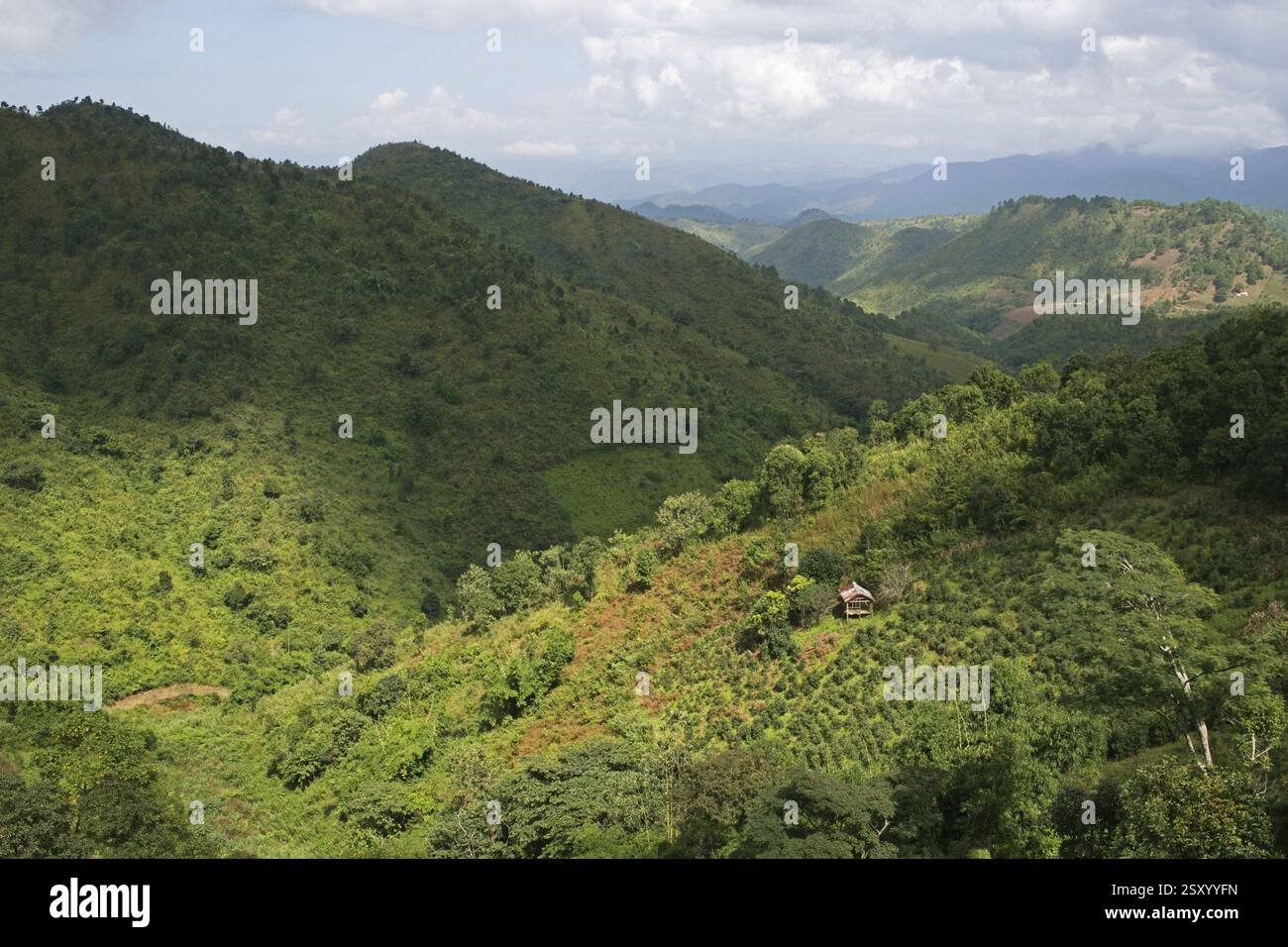 Kalaw mountain, myanmar, burma Stock Photo - Alamy