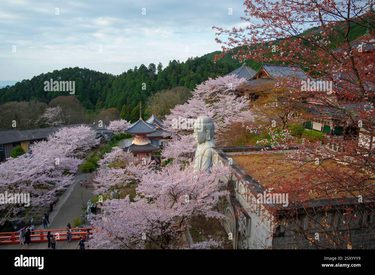 View of Tsubosaka- Dera , a temple with a giant Buddha statue in the ...