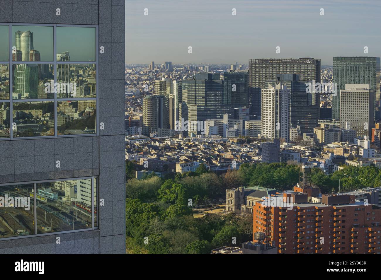 Aerial view of tokyo, japan Stock Photo - Alamy