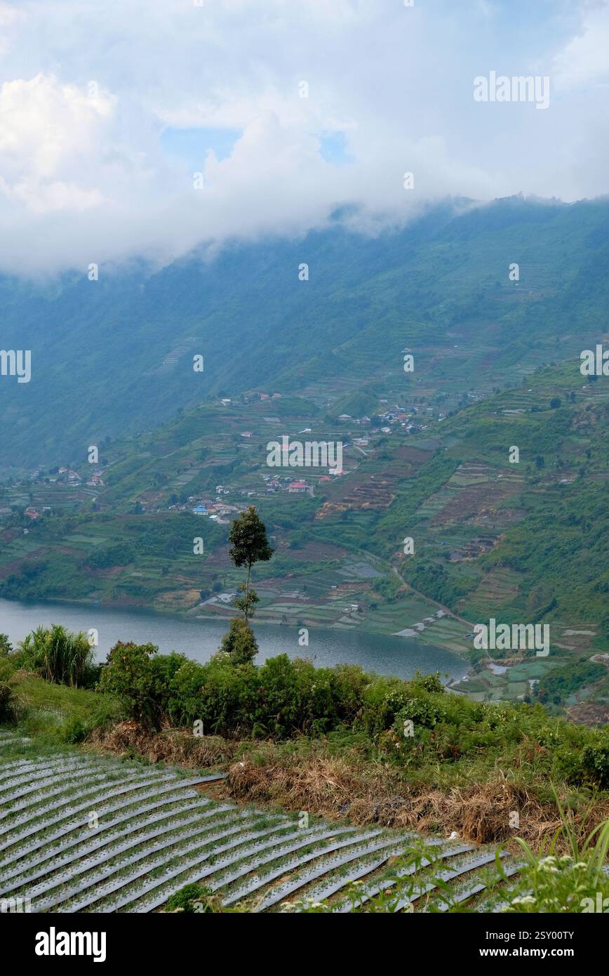 Lakeside plantation hi-res stock photography and images - Alamy