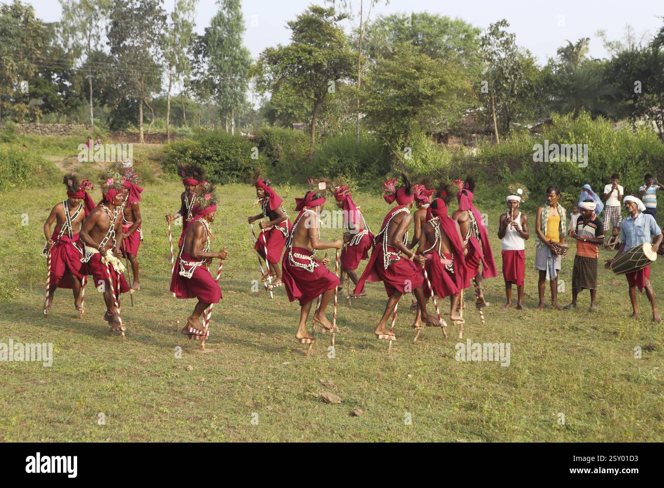 Gendi dance, bastar, chhattisgarh, india, asia Stock Photo - Alamy