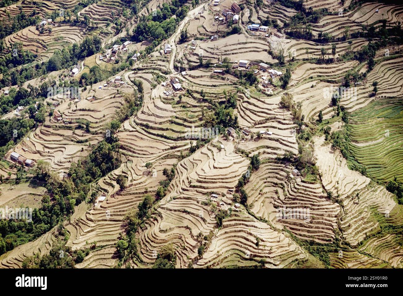 Terraced cultivation, kathmandu, nepal, asia Stock Photo - Alamy