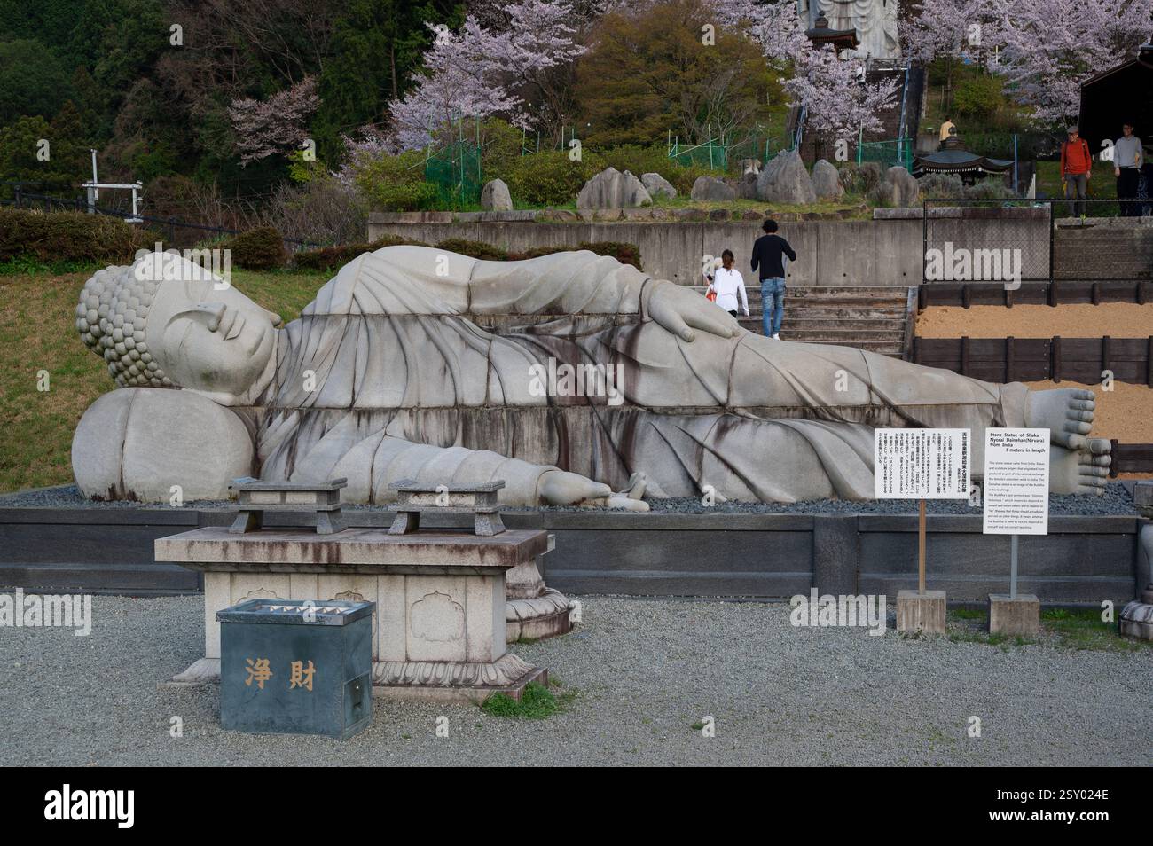 View of a stone Buddha statue (Shako nyorai dainehan ) gifted by India ...