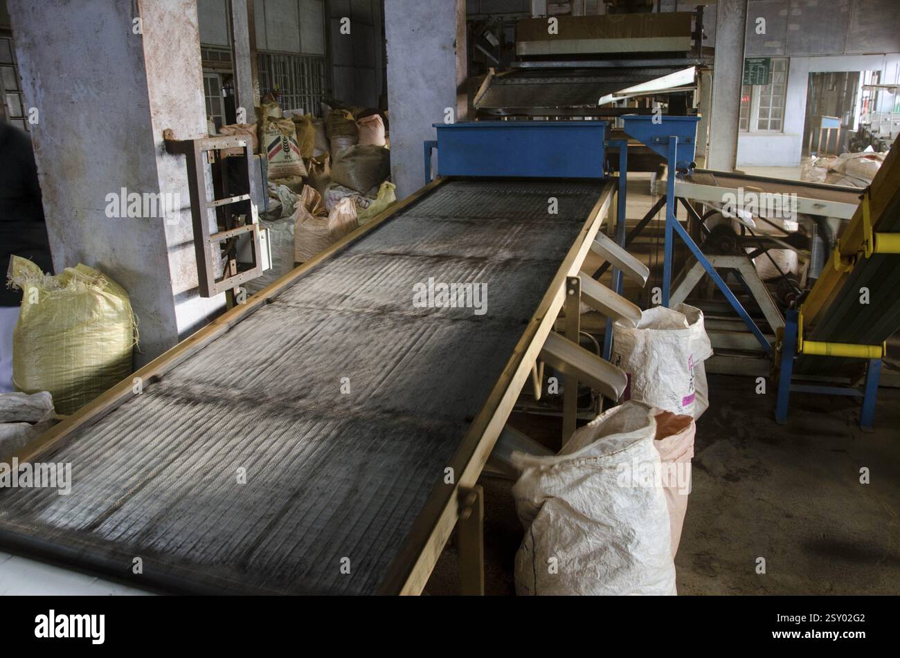 Last stage of tea processing, vagamon, kerala, india, asia Stock Photo ...