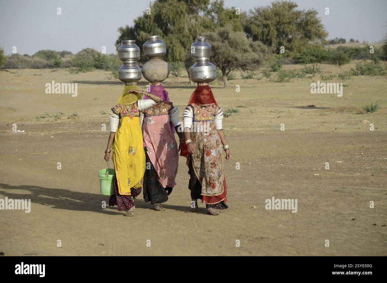 Women carrying water in Jaisalmer at Rajasthan India Stock Photo - Alamy
