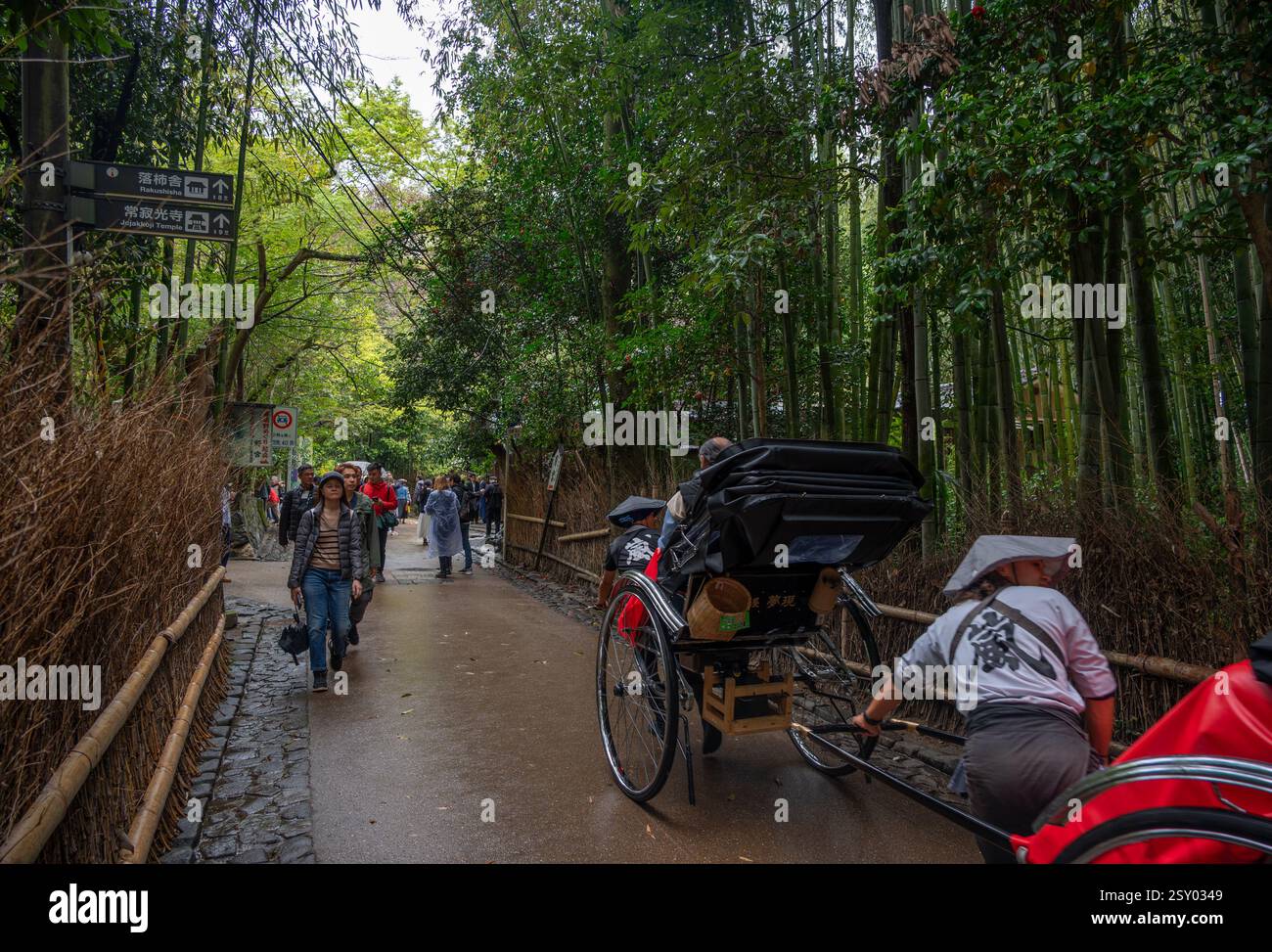 View of a Japanese Rickshaw at the world-renowned bamboo forest in the ...