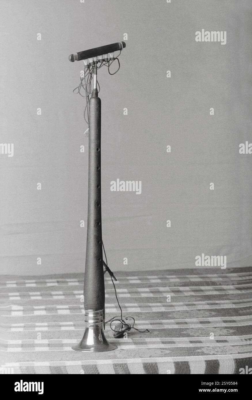 Musical instrument of shehnai India Stock Photo - Alamy