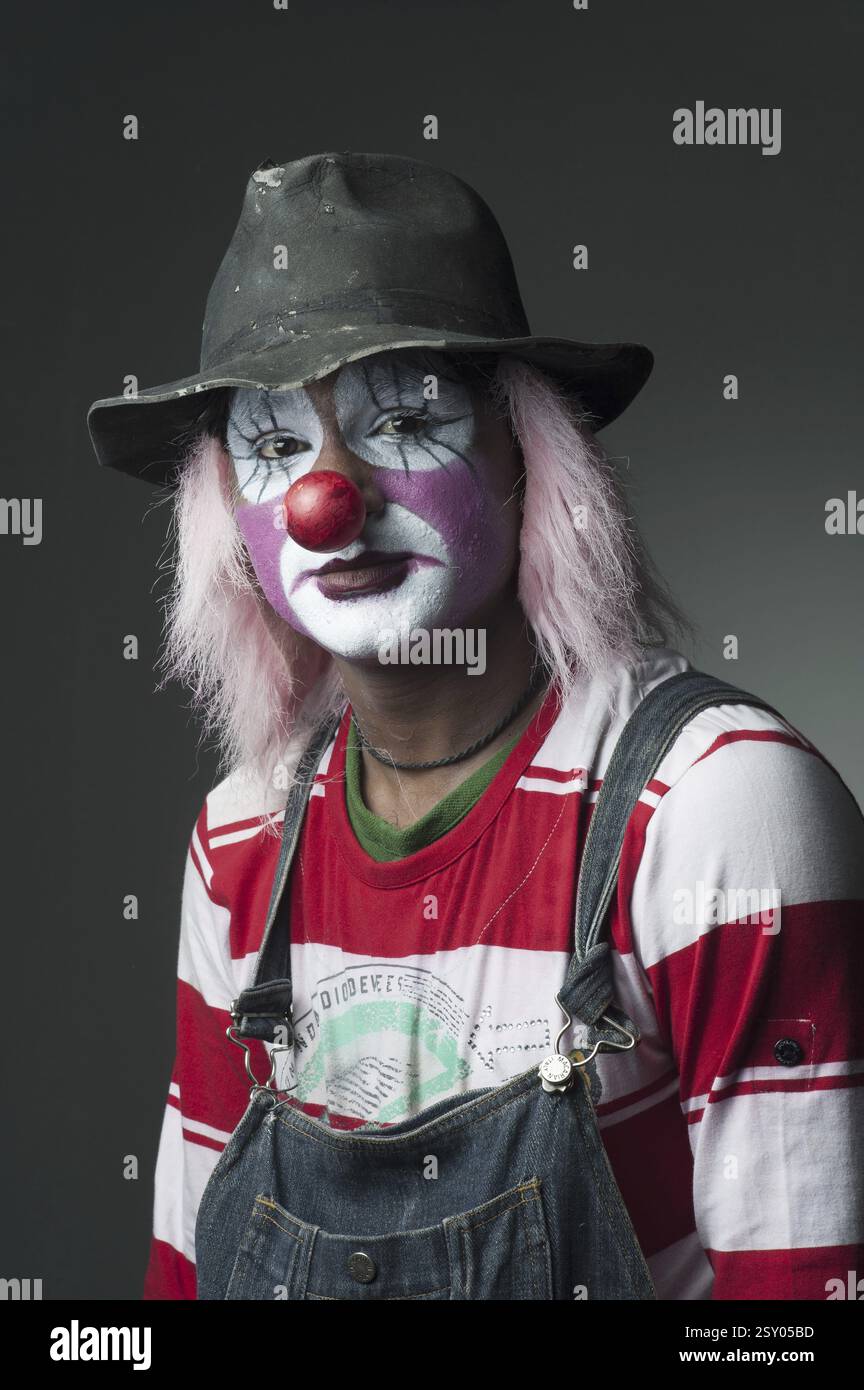 Man dressed up as joker, jodhpur, rajasthan, india, asia Stock Photo ...