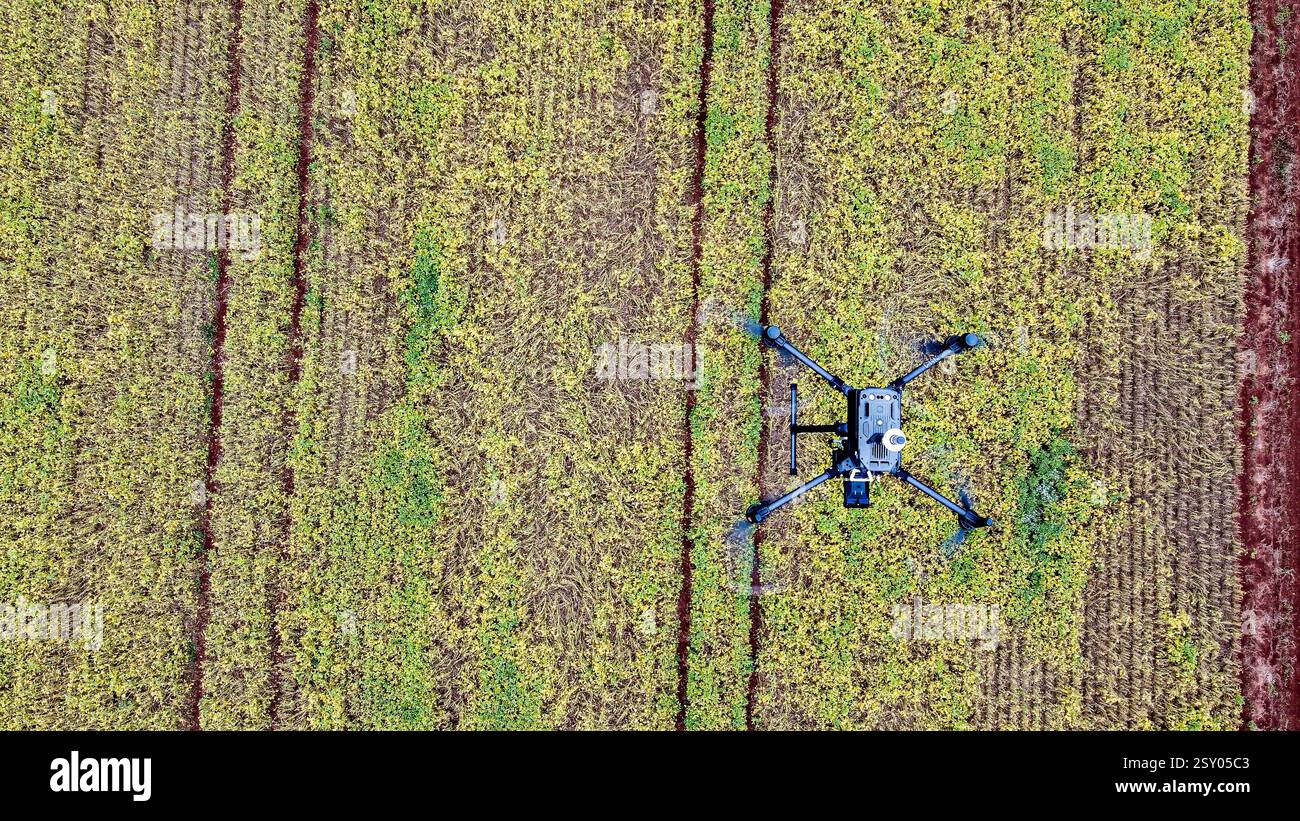 The use of drones in agriculture is becoming more and more widespread ...