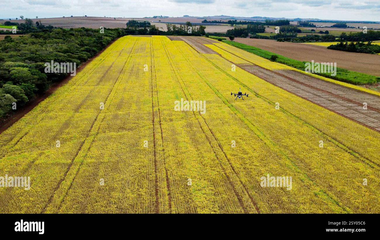 The use of drones in agriculture is becoming more and more widespread ...