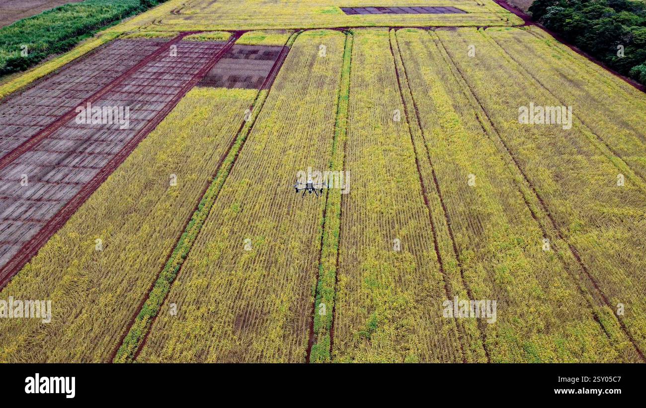 The use of drones in agriculture is becoming more and more widespread ...