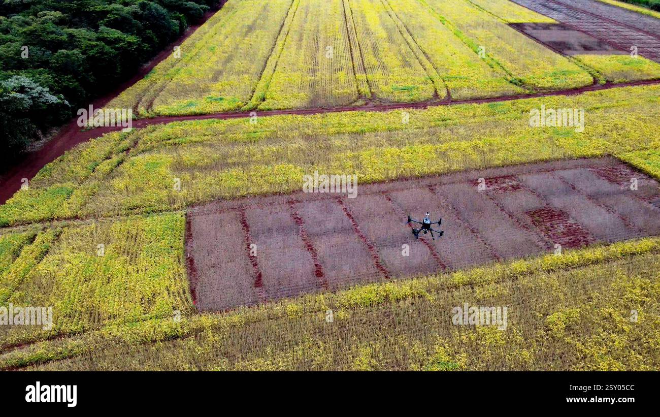 The use of drones in agriculture is becoming more and more widespread ...