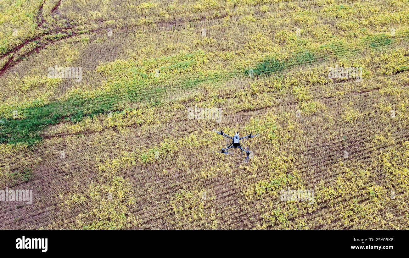 The use of drones in agriculture is becoming more and more widespread ...