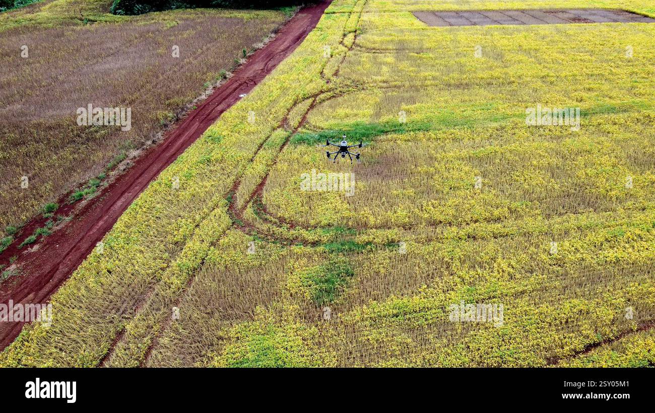 The use of drones in agriculture is becoming more and more widespread ...