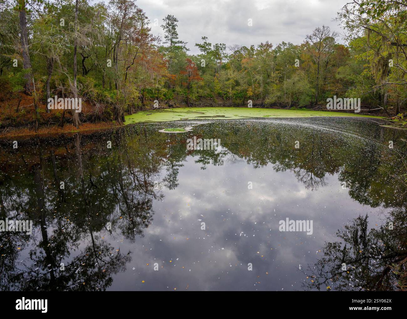 The Santa Fe River Sink in O'Leno State Park, FL, is where the river ...