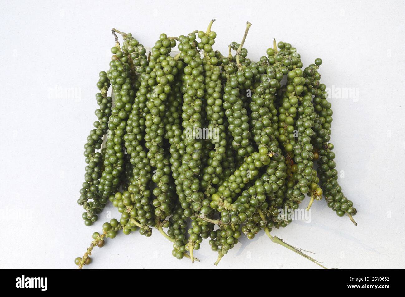 Black pepper, trivandrum, kerala, india, asia Stock Photo - Alamy