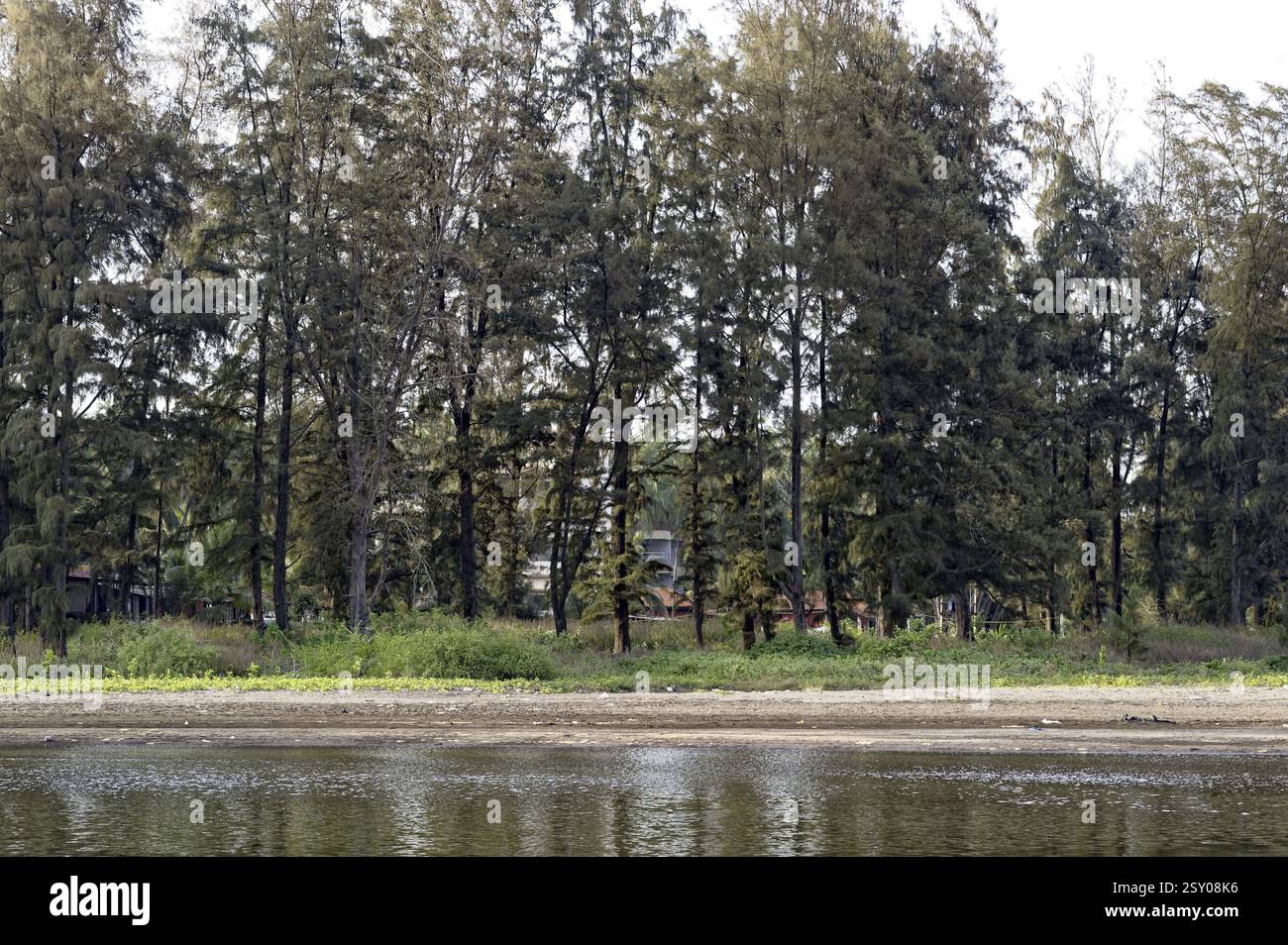 Sea shore karde beach, dapoli, maharashtra, india, asia Stock Photo - Alamy