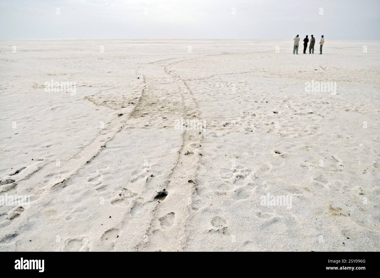 Foot mark in salt residue at thar desert, Bhuj, Kutch, Gujarat, India ...