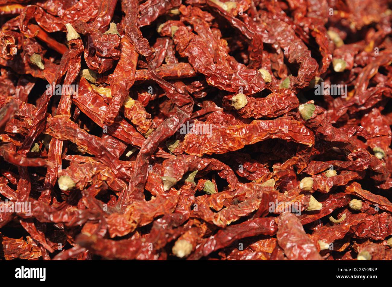 Indian spices dried red chilli, mumbai, maharashtra, India, Asia Stock ...