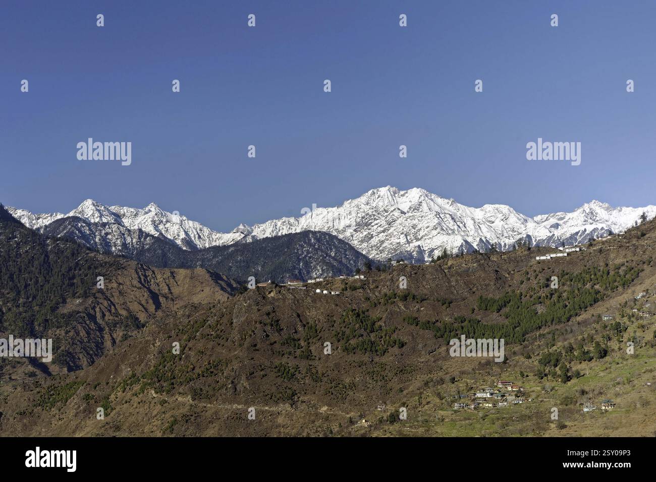 Snow on hills at himachal pradesh, india, Asia Stock Photo - Alamy