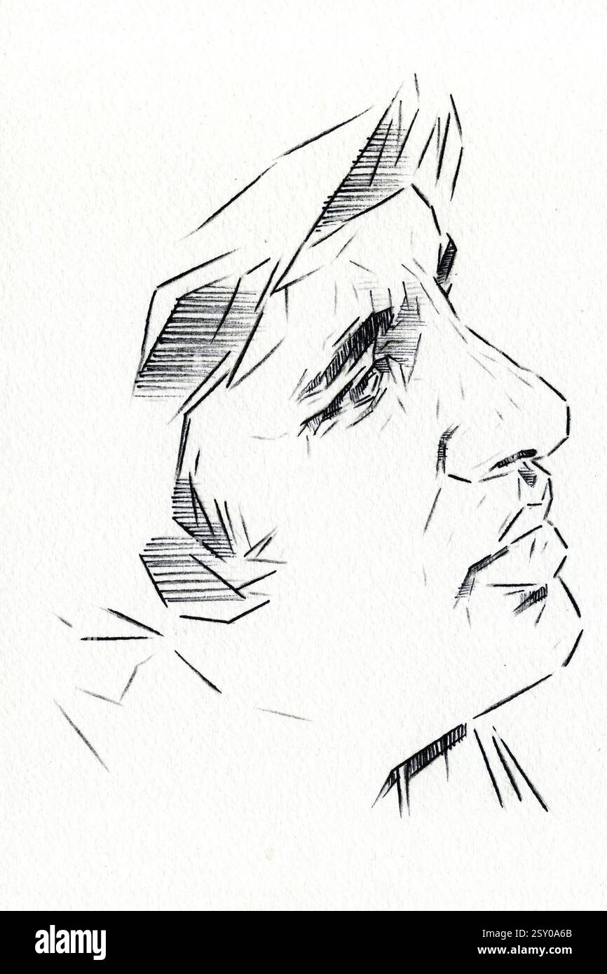 Indian bollywood actor, amitabh bachchan drawing, india, asia Stock ...