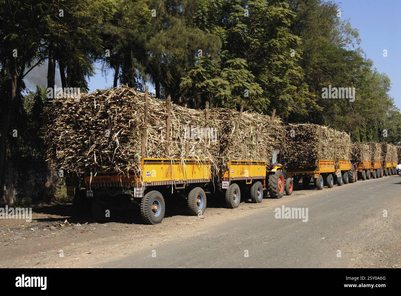 Truck loaded with sugar cane, kolkata, west bengal, India, Asia Stock ...