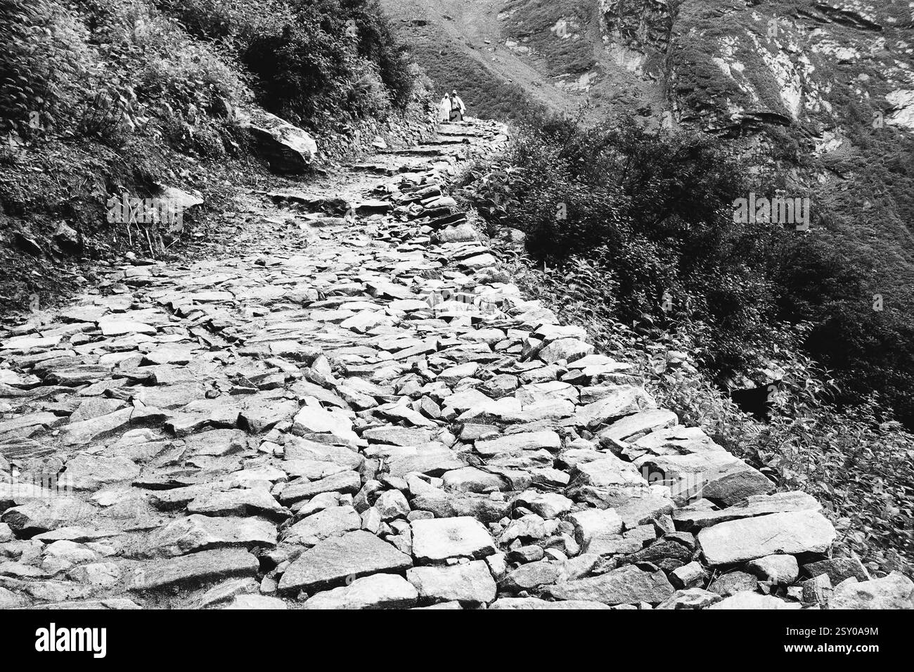Cobbled path Valley of Flowers Hemkund Ghangaria Garhwal Uttarakhand ...