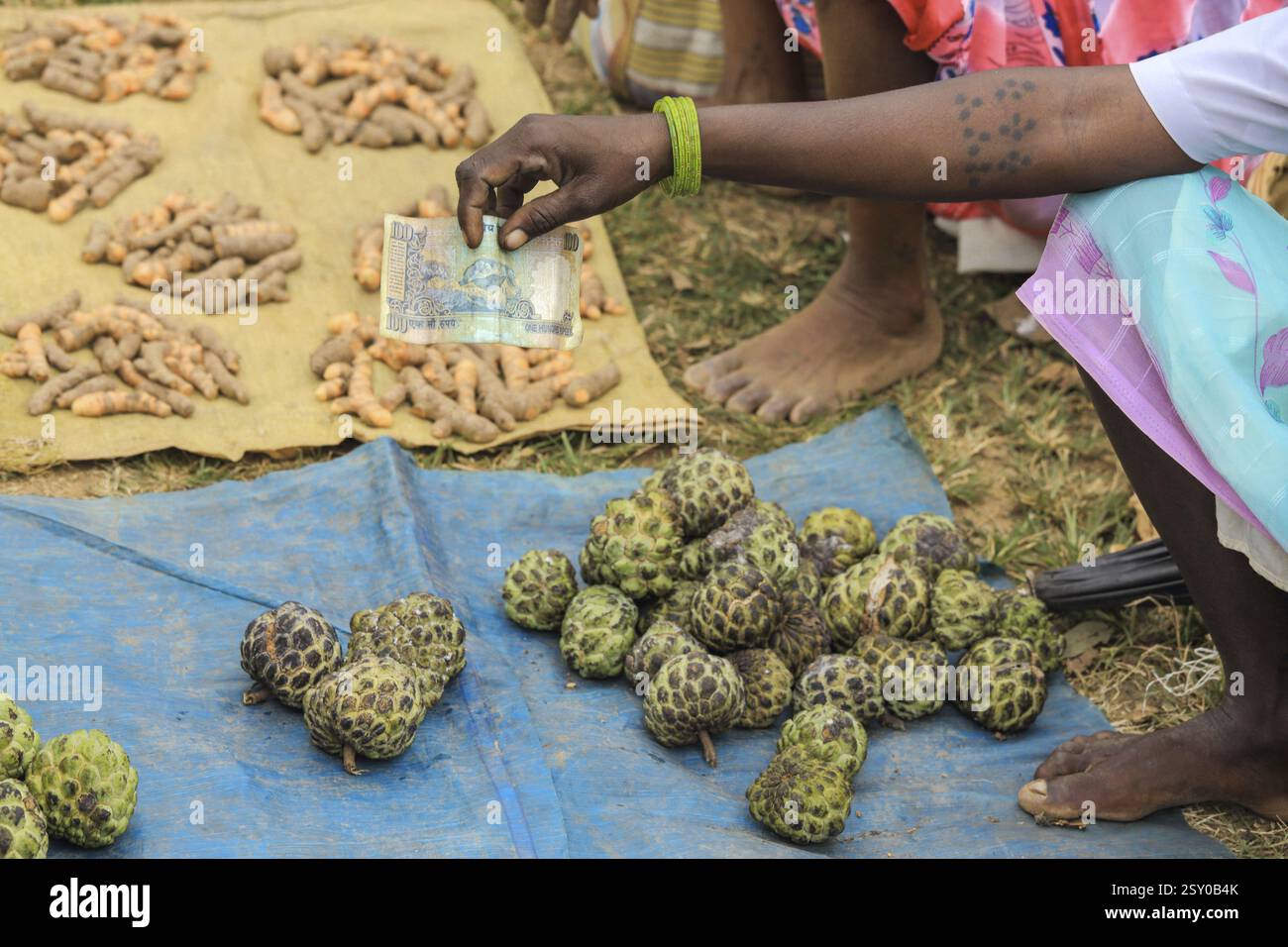 Tribal woman, haat bazaar, bastar, chhattisgarh, india, asia Stock Photo - Alamy