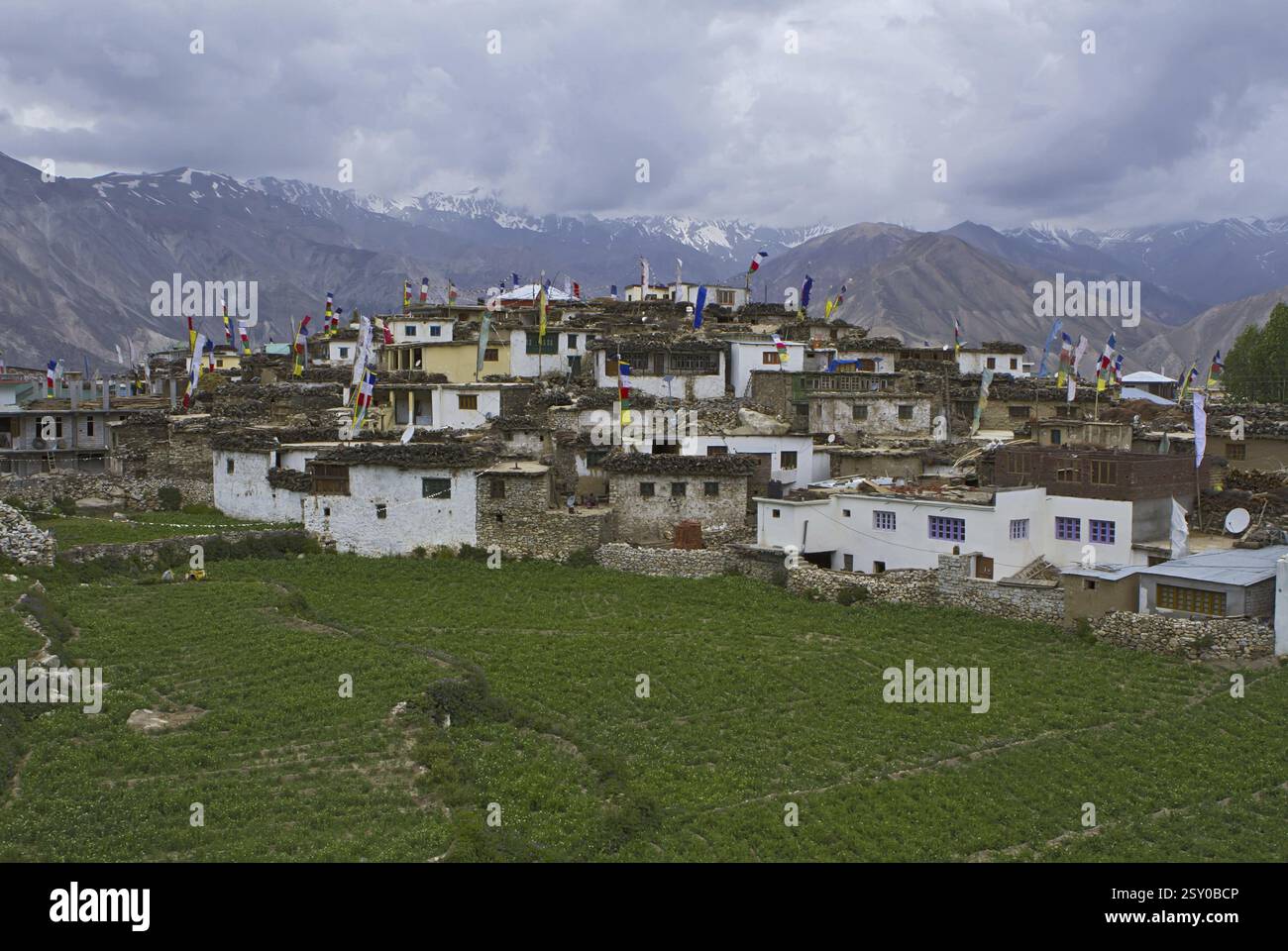 Nako village himachal pradesh India Stock Photo - Alamy