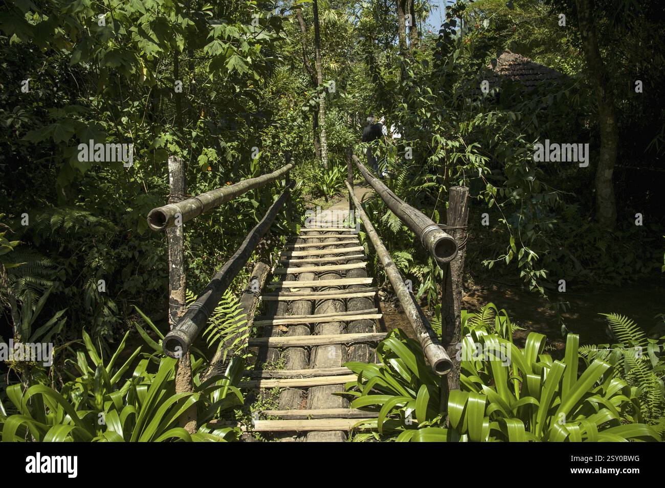 Wooden bridge, coorg, karnataka, india, asia Stock Photo - Alamy