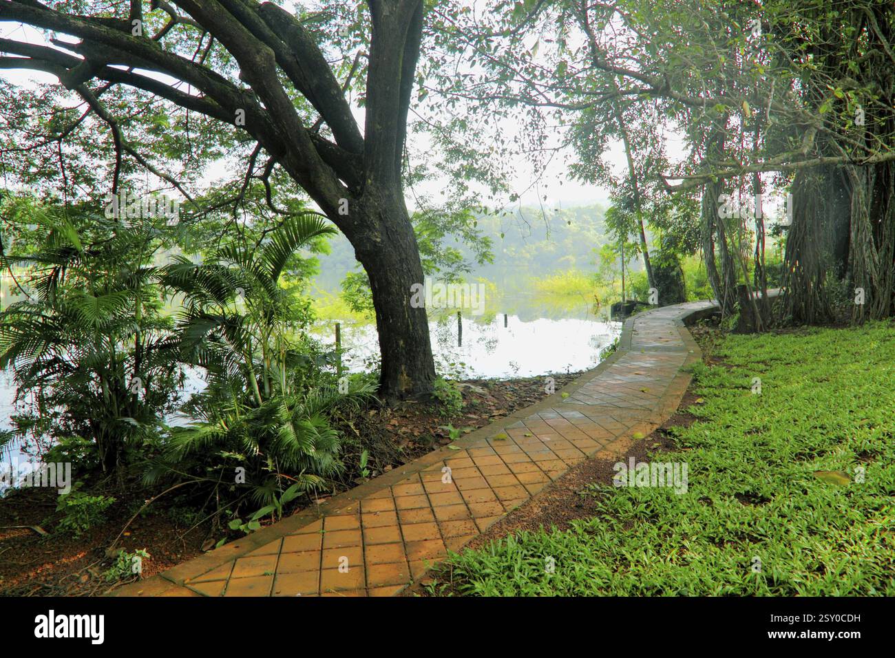 Pathway Maya Lake Bicholim Goa India Asia Stock Photo - Alamy