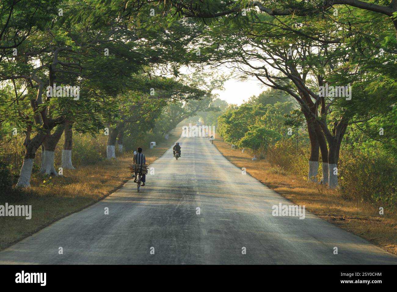 National highway road, chhattisgarh, india, asia Stock Photo - Alamy