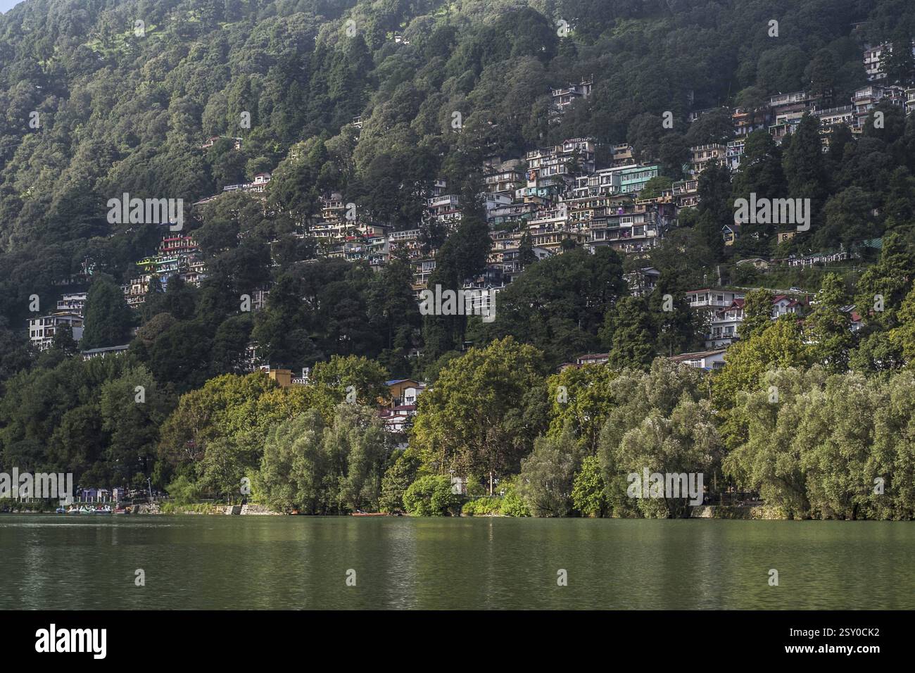 Naini Lake, Nainital, Uttarakhand, India, Asia Stock Photo - Alamy