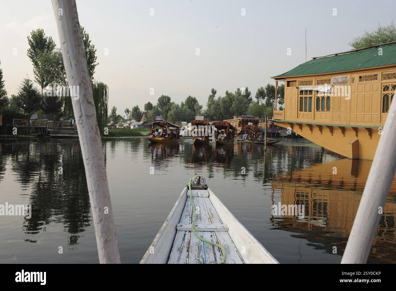 Dal lake, Srinagar, jammu Kashmir, india, asia Stock Photo - Alamy