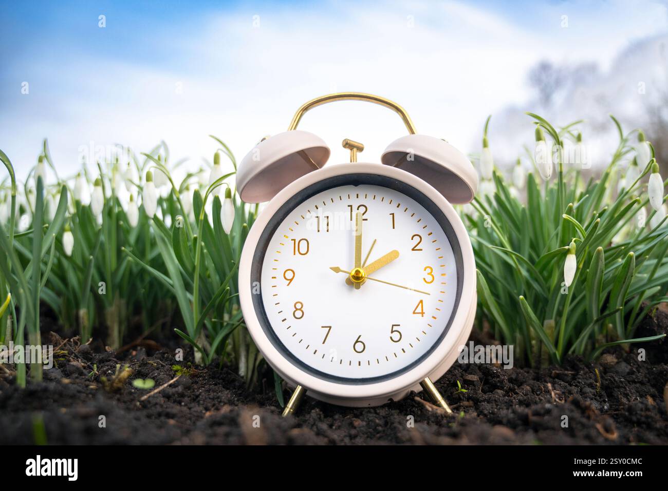 Alarm clock with snowdrop flowers, switch to daylight saving time in ...
