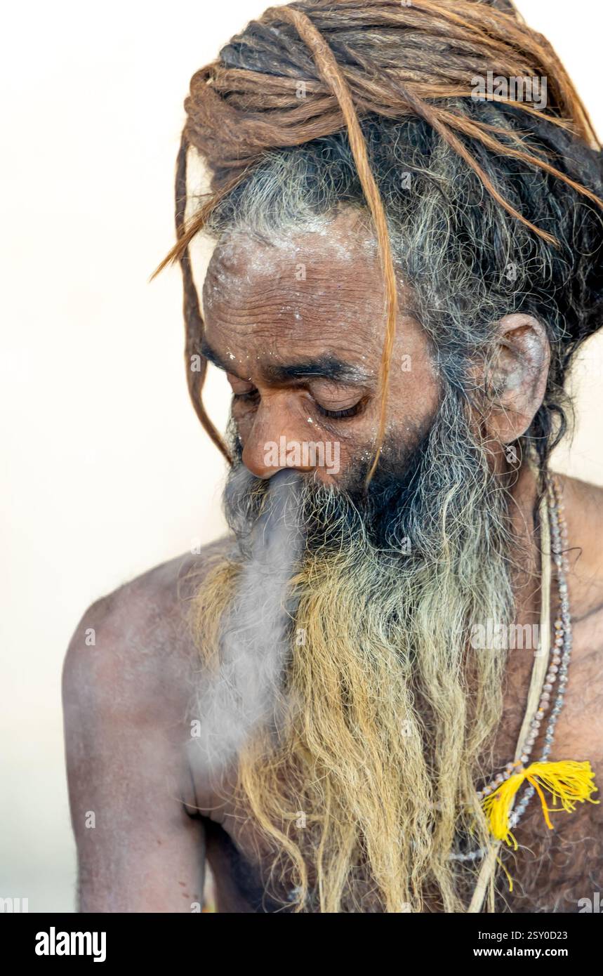 naga sadhu with sacred chillum smoke during mahakumbh festival Stock ...