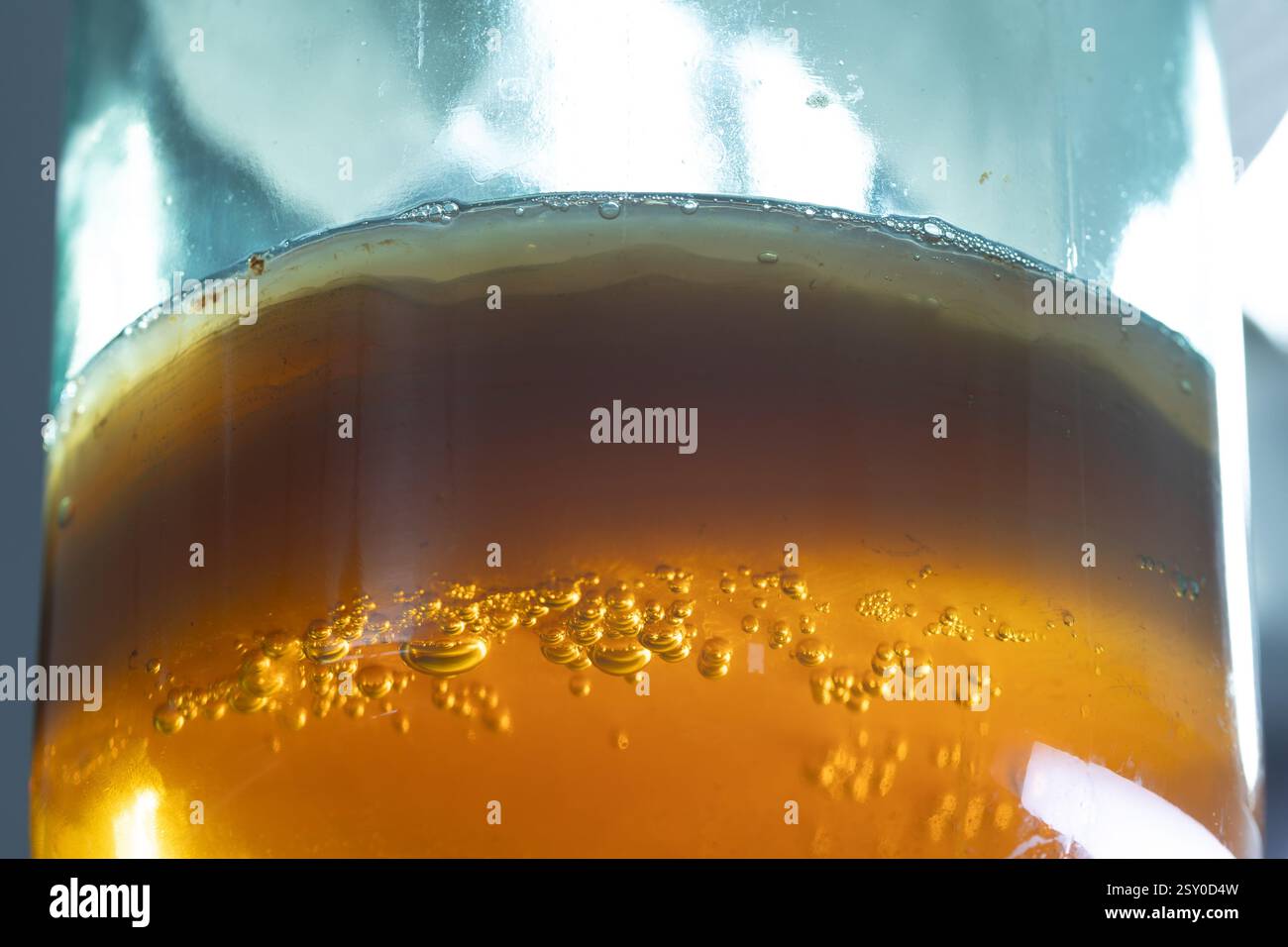 A close-up of the sparkling amber kombucha tea mushroom drink ...